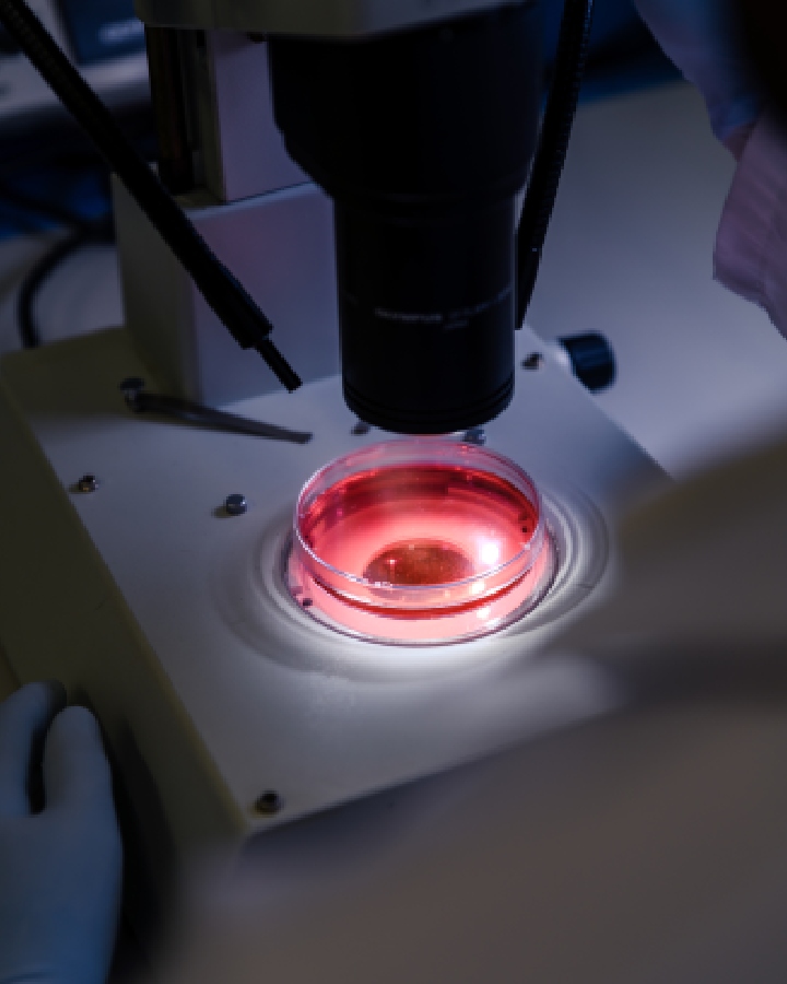 Dynotech Instruments